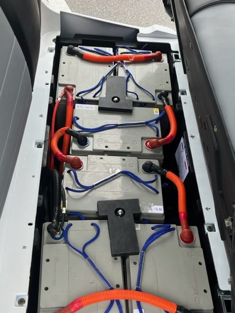 2023 Champ 4 passenger cart | Eco Golf Carts